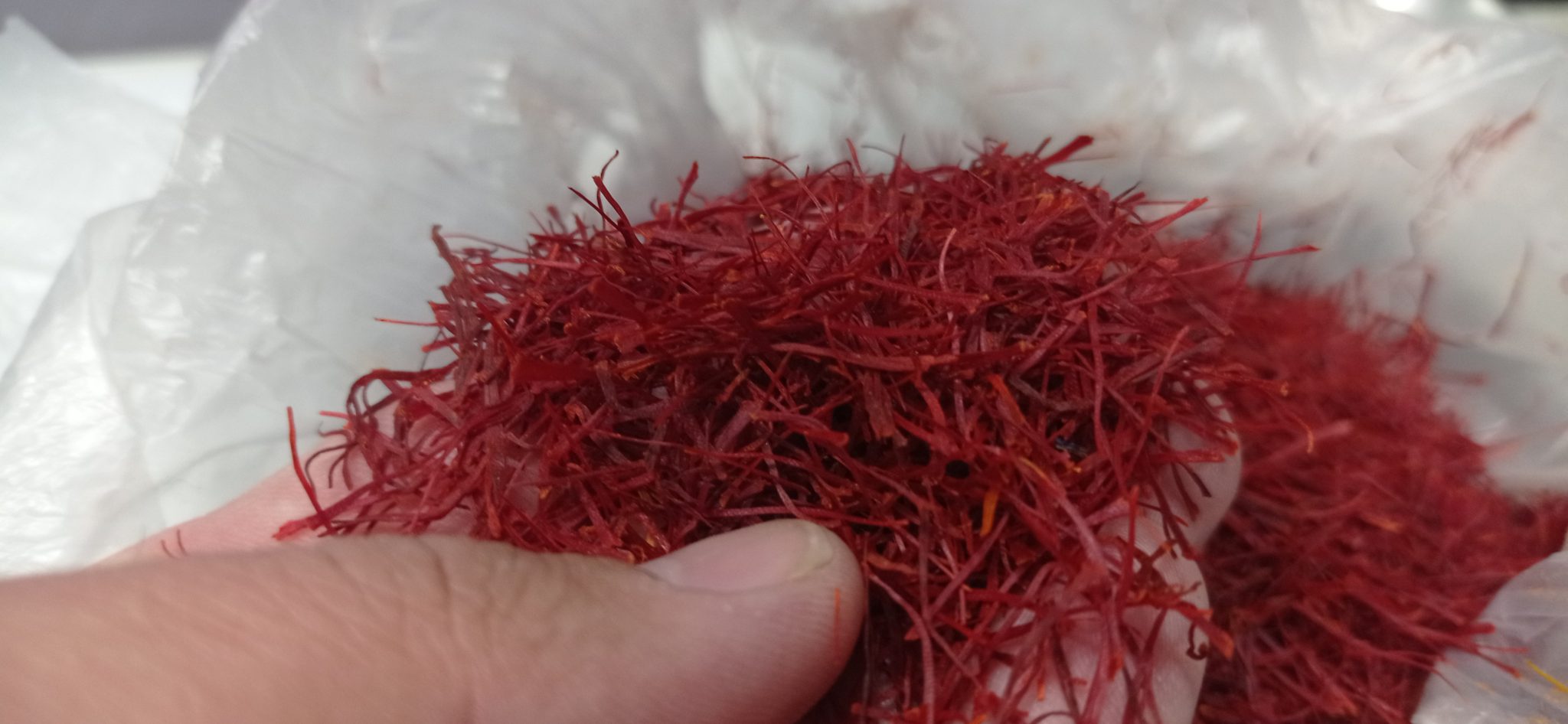 The Difference Between Sargol And Negin Saffron خرید زعفران خرید زعفران کیلویی خرید زعفران
